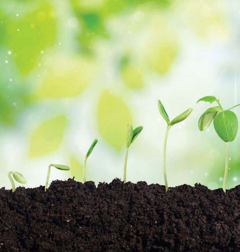 How to Revive Soil with Organic Gardening - Countryside